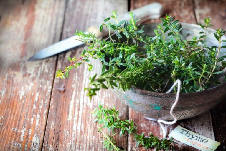 Best Antibacterial Essential Oils and Recipes 2017