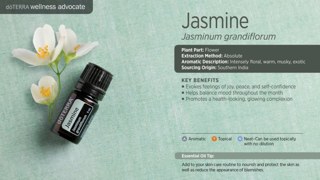 Organic Jasmine Essential Oil: Benefits, Uses, Blends