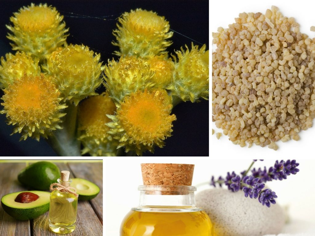 How to Use Helichrysum Essential Oil: Benefits, Recipes and Tips