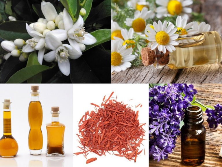 What is neroli essential oil good for - benefits, uses, recipes